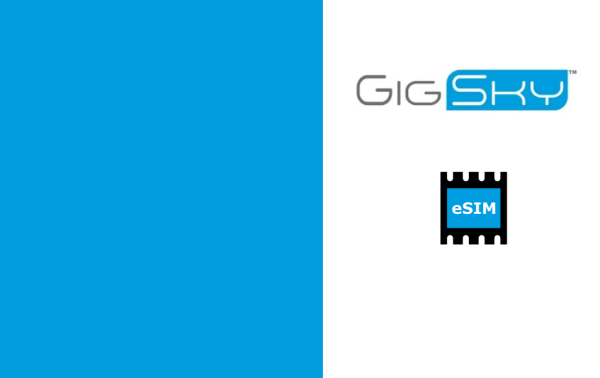 The Ultimate Guide to Picking the Best eSIM for Europe Travel | 2023